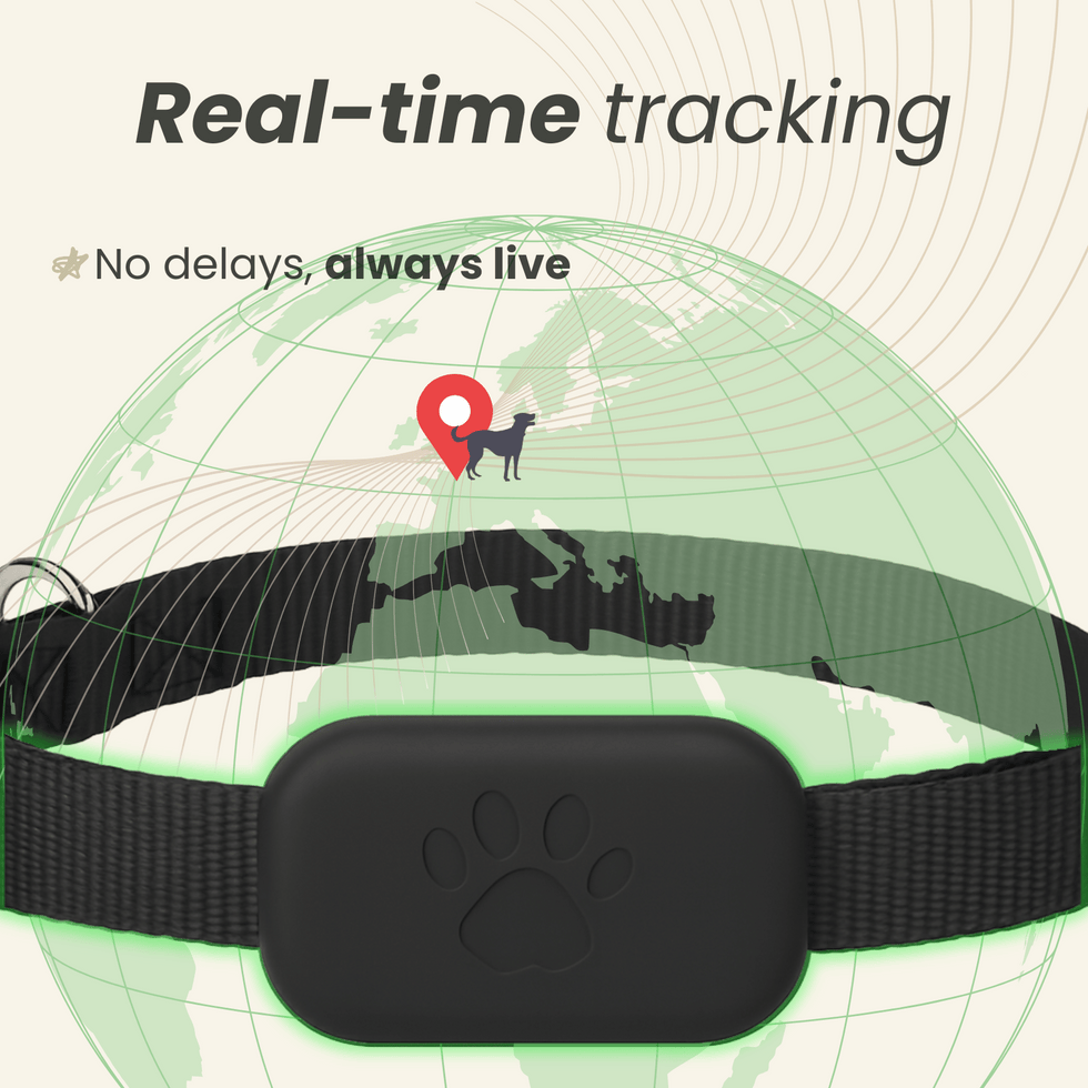 PetTrack - Mini GPS Tracker for Dog and Cat with Motion Alert and Long ...