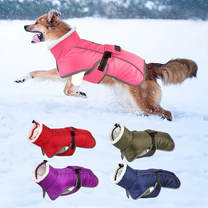 Tundra Dog Coat: Warm and Cold-Proof Winter Coat for Large Dogs ...